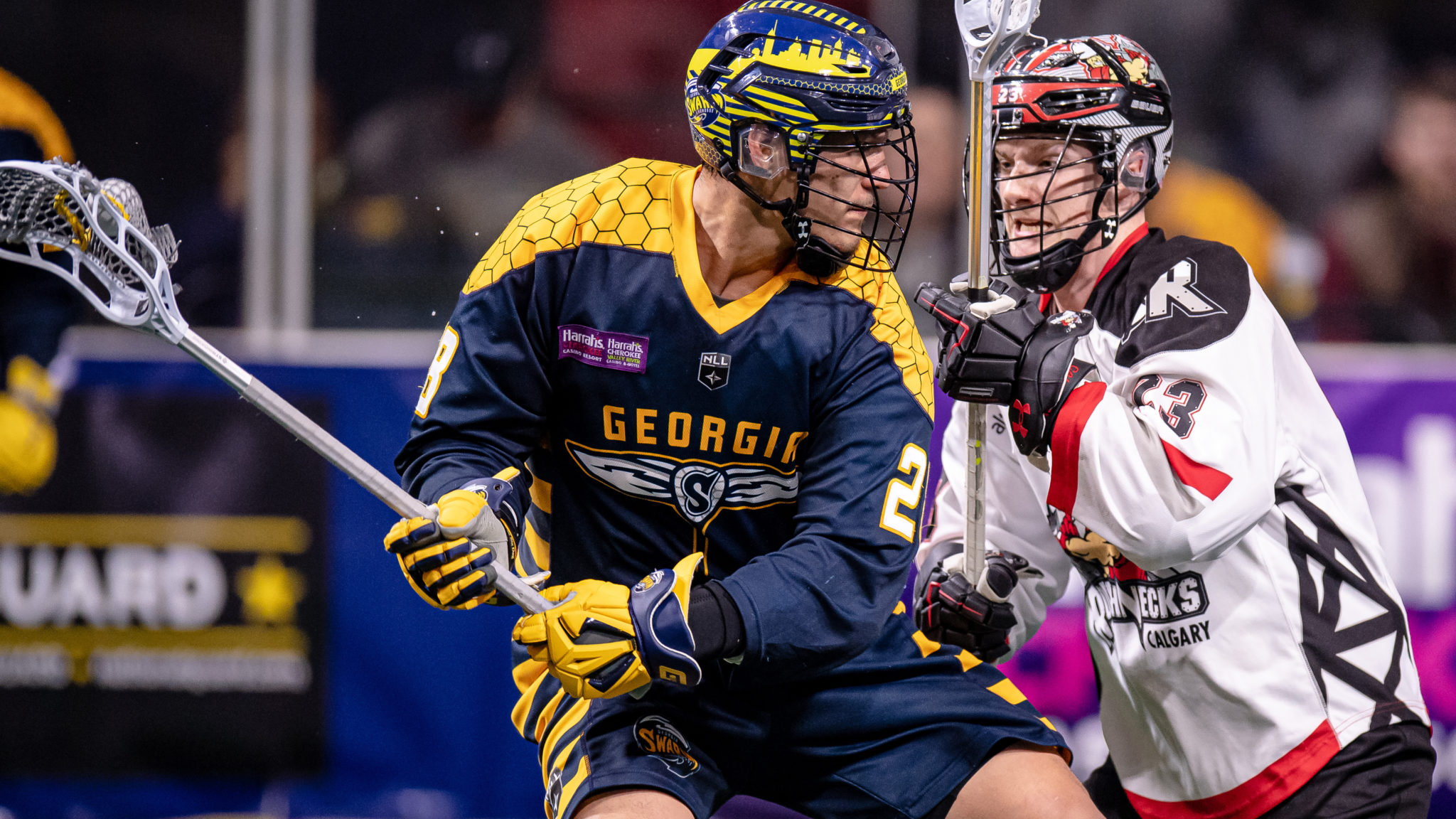 MAMMOTH ACQUIRE FORWARD ZED WILLIAMS FROM GEORGIA SWARM - Colorado ...